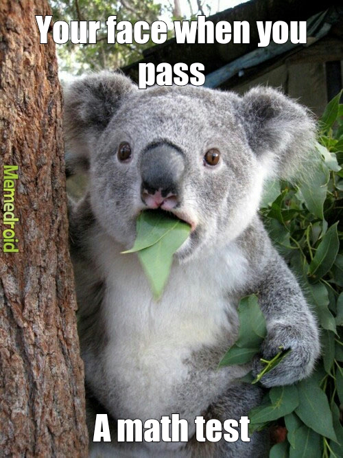 like what - Meme by diglet :) Memedroid