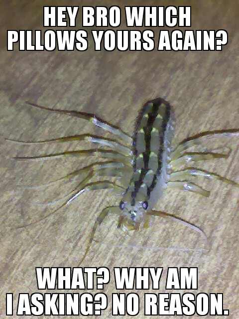 Tonight - Meme by schaef1018 :) Memedroid