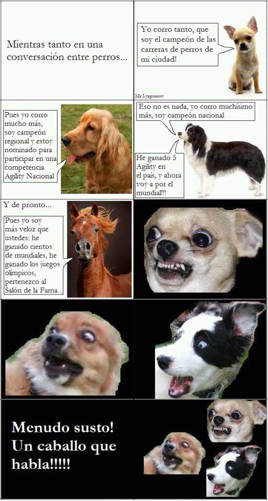 UN CABALLO QUE HABLA!!! - Meme subido por RamonADV0234 :) Memedroid