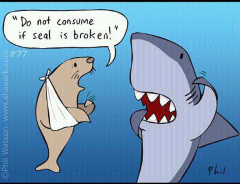 Seal - Meme by akkid :) Memedroid