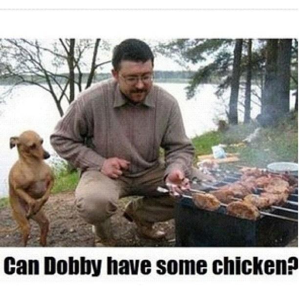 Some Dobby I use to know - Meme by nickfrisbie89 :) Memedroid