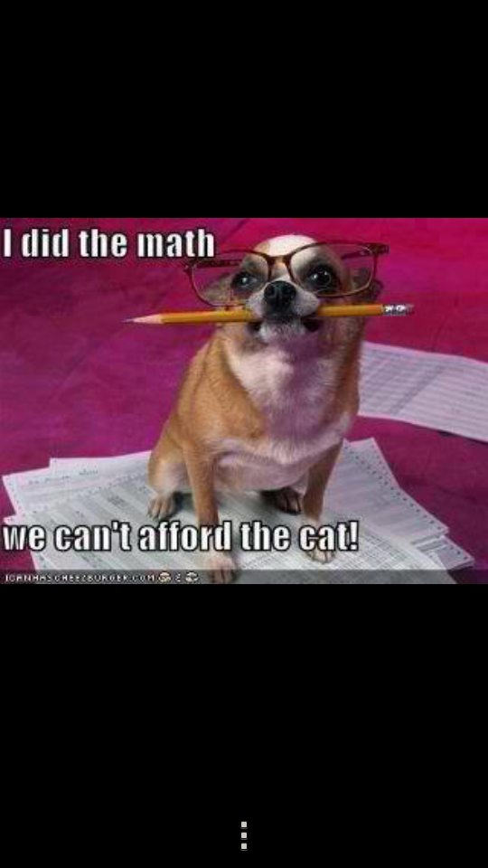 Arithmetic dog - Meme by MatthewAllen :) Memedroid