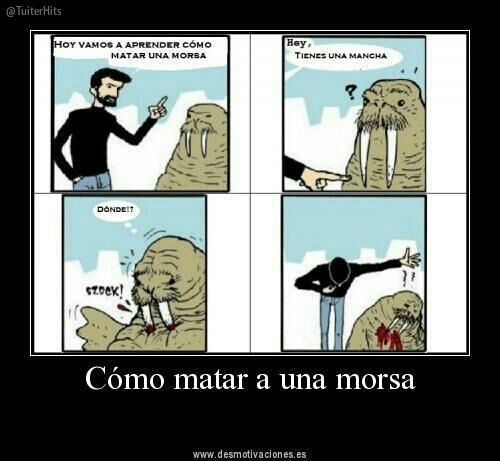 matar a una morsa - Meme by pabloski210 :) Memedroid