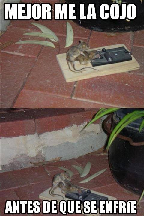 No se perdona nada.. - Meme subido por marlonr477 :) Memedroid