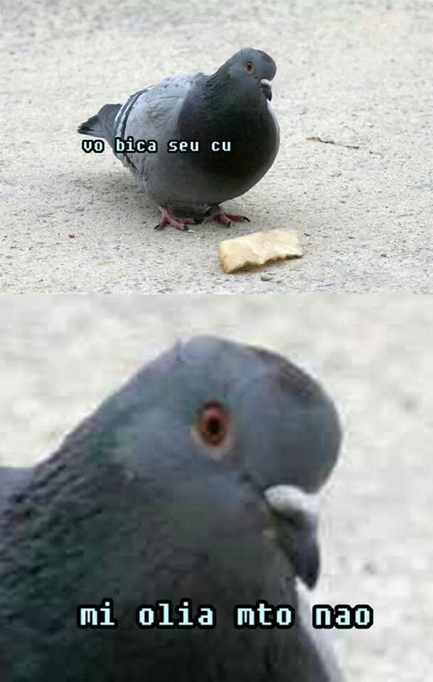 repostagem bem antiga 2 - Meme by pablomuitodoido :) Memedroid