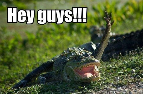 croco-hi-le - Meme subido por ryanfrancis :) Memedroid