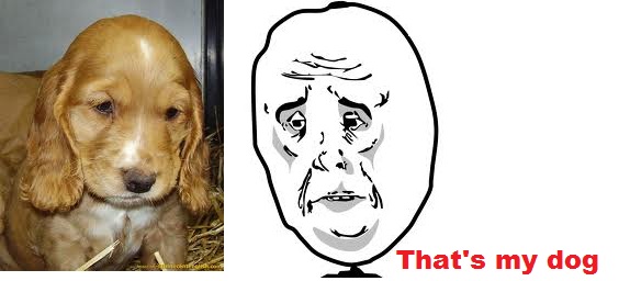 okay guy dog - Meme by lilmissashlyn :) Memedroid