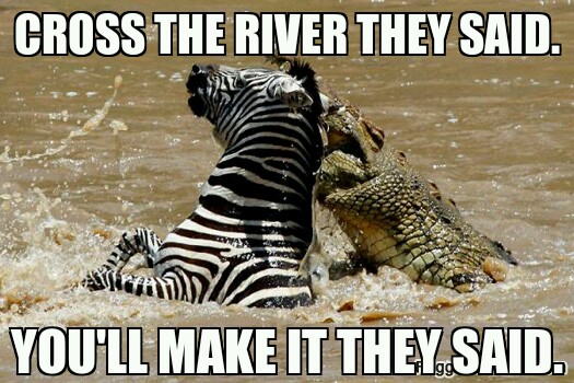 The grass is greener on the other side they said... - Meme by ...