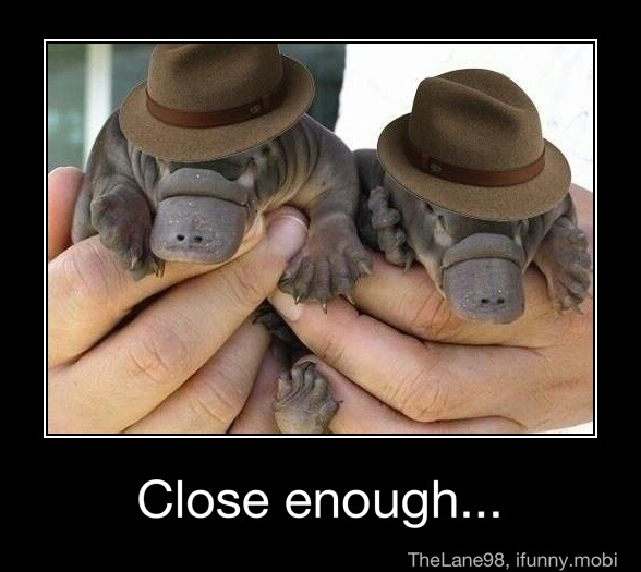 Perry - Meme by XxLokiLoverxX3 :) Memedroid