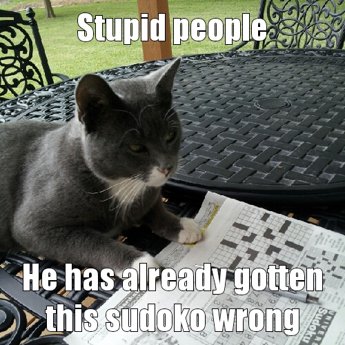 smart cat - Meme by mrscrodobaggins :) Memedroid