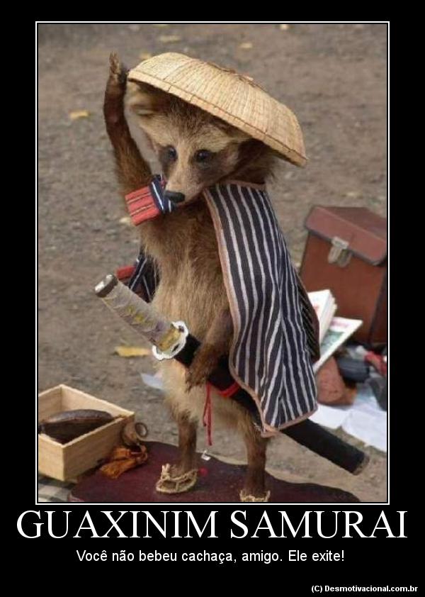 Meme Do Guaxinim Malvado