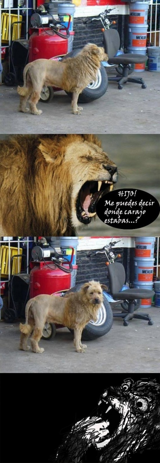 Leon - Meme subido por eldhercito98 :) Memedroid