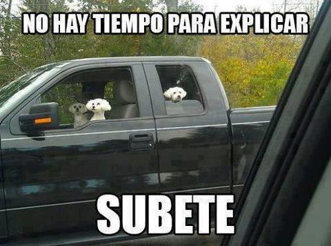 subete! - Meme subido por m3lasuda :) Memedroid