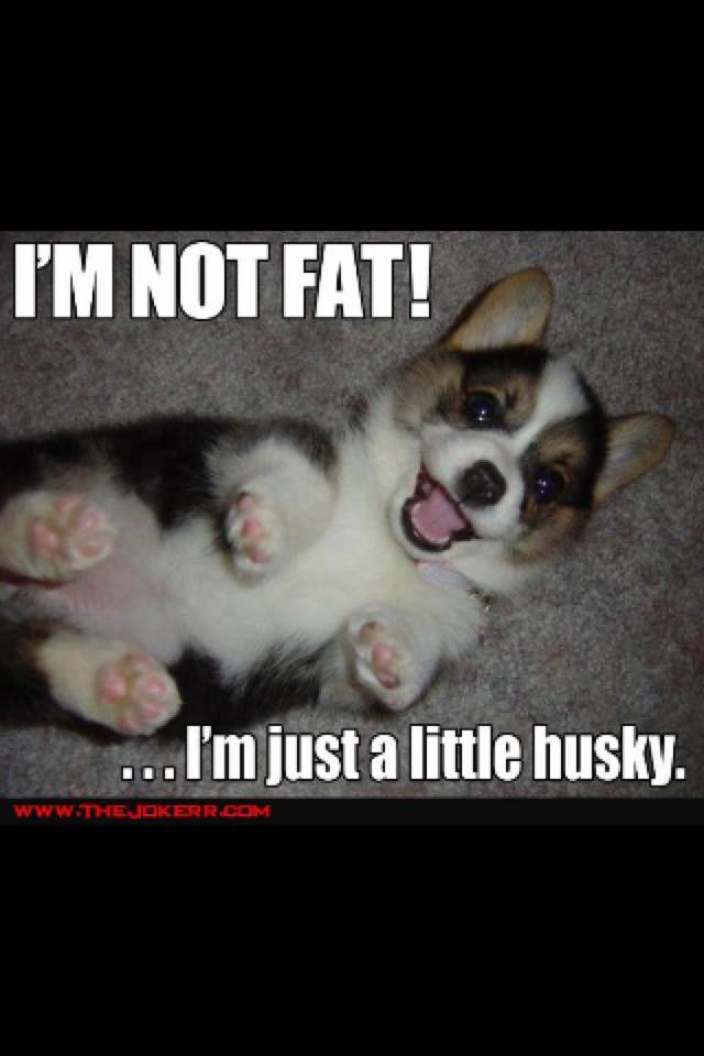 about that... - Meme by yodawgitsalex :) Memedroid