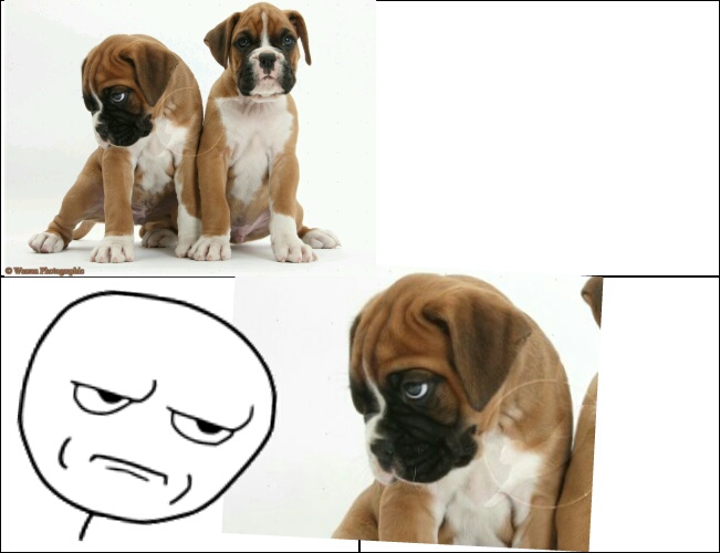 xm - Meme subido por magicoorzo :) Memedroid