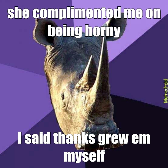rhino - Meme by colt0431 :) Memedroid