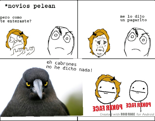 pajarito - Meme subido por circodgo :) Memedroid
