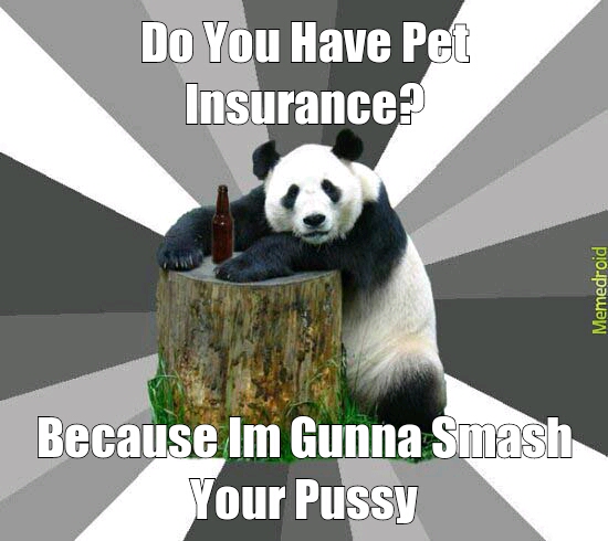 Pet Insurance - Meme by About40Ninjas :) Memedroid