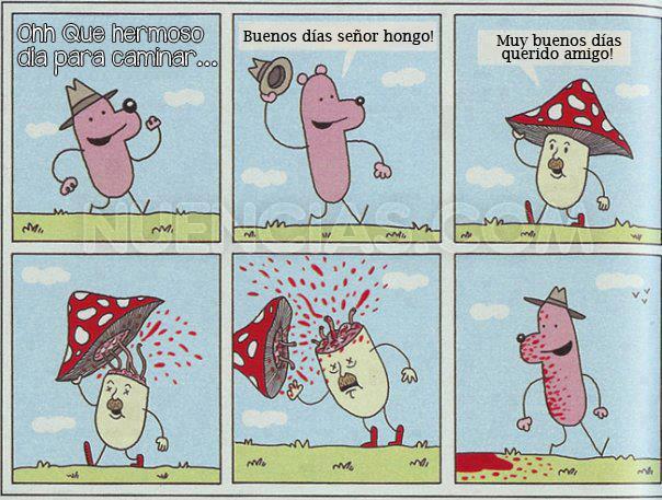 ¡Pobre hongo! - Meme subido por Naty.Flores :) Memedroid