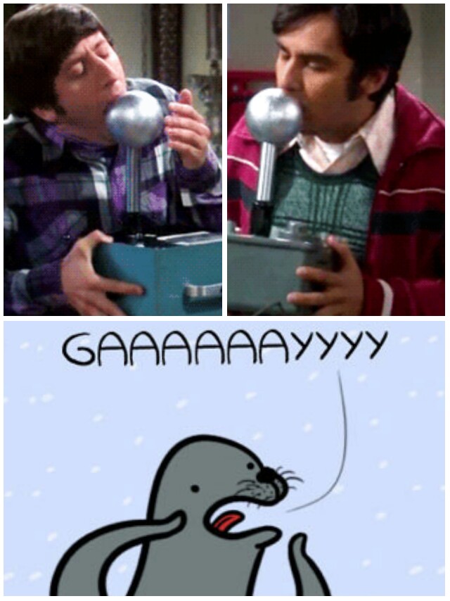 Gaaaaayyy - Meme subido por soydolphin :) Memedroid