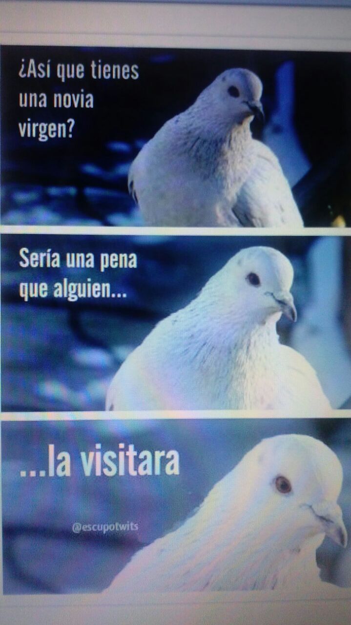 el espíritu santo omnipresente - Meme by thebestone102 :) Memedroid