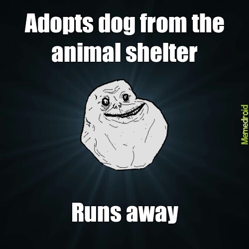 Runaway dog - Meme by valjernic :) Memedroid