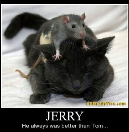 awwww...cute - Meme by 2012swap :) Memedroid