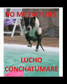 lucho - Meme subido por osculo :) Memedroid