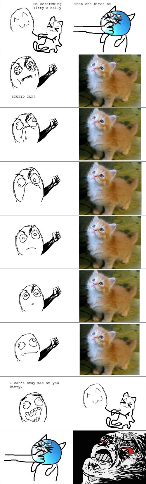 Aww - Meme by Trollingmaster2 :) Memedroid