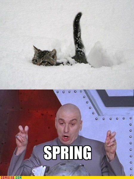 Damn Snow Memes 60 Of The Best Damn Photos On The Internet This