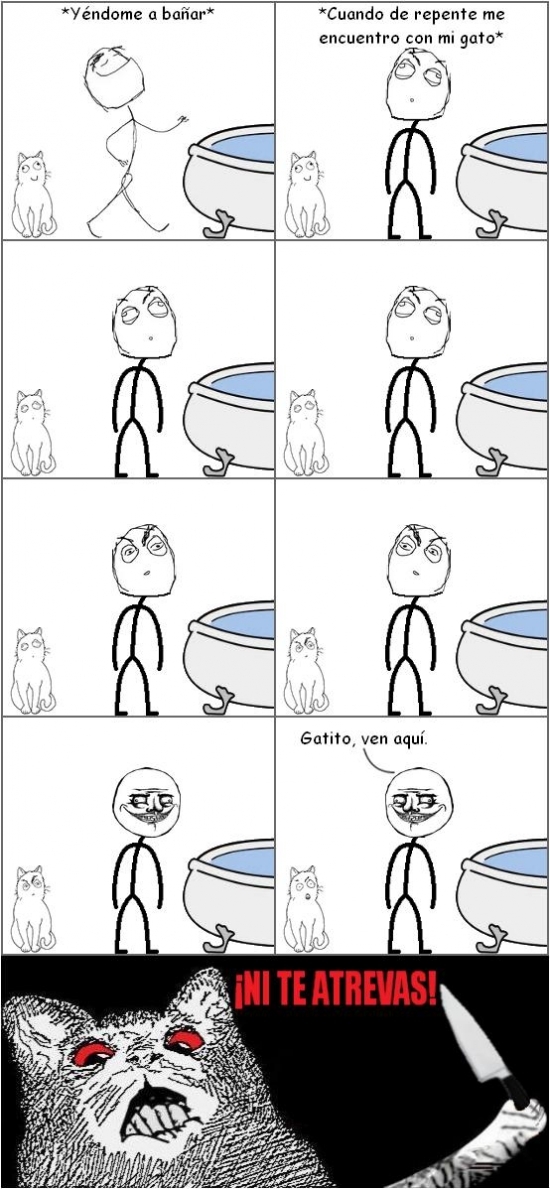 Top memes de Fdsfsd en español :) Memedroid