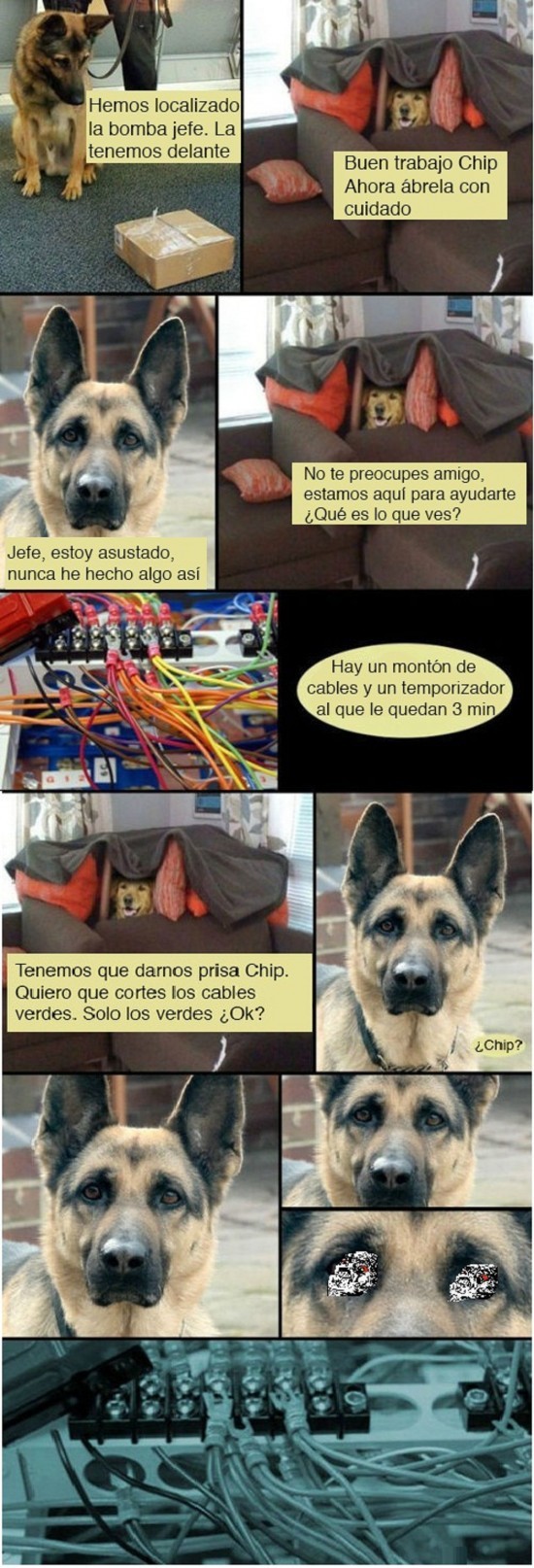 Top memes de gfgdf en español :) Memedroid