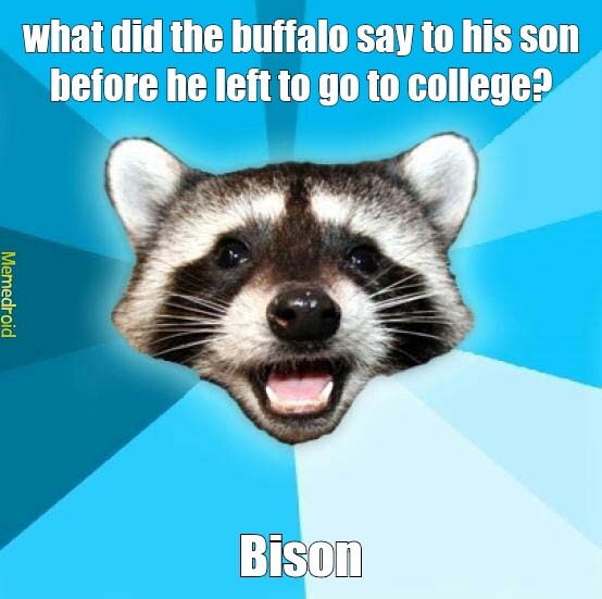 bison - Meme by enzy4 :) Memedroid