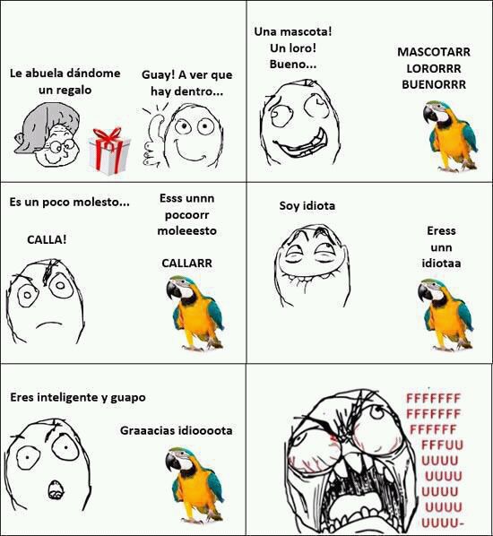 ayy mi loro - Meme subido por sarlperu :) Memedroid