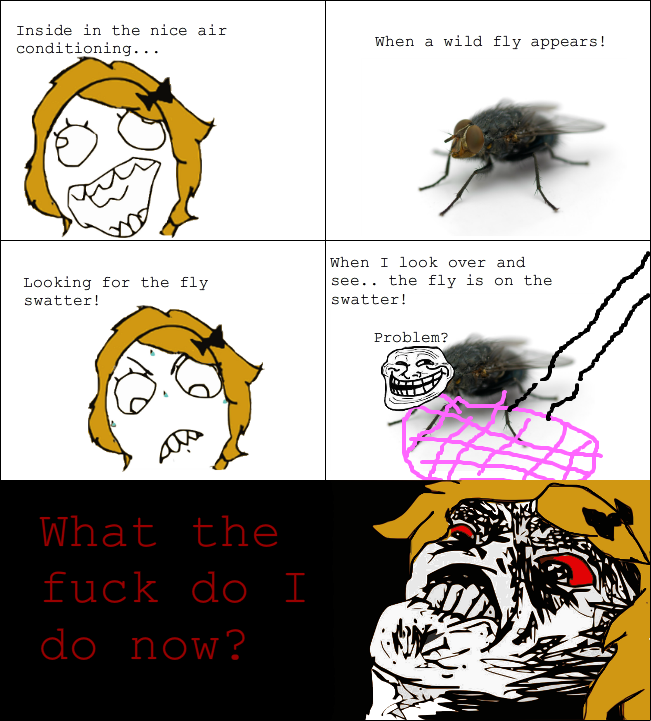 stupid fly - Meme subido por SNOWBUNNY :) Memedroid