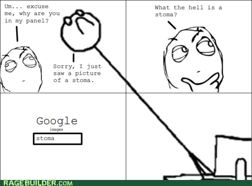 Stoma - Meme subido por MrMcDerp :) Memedroid