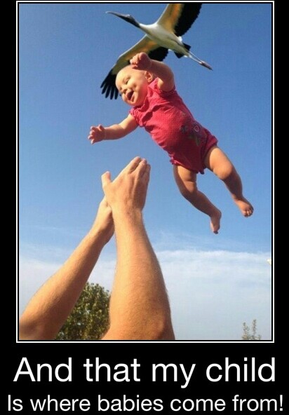 there's your answer - Meme by zzmomo73 :) Memedroid