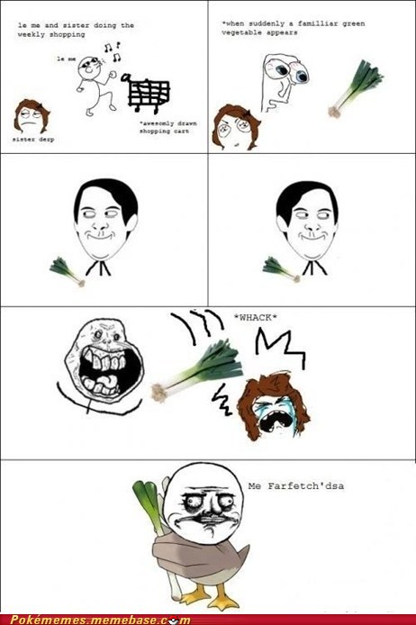 Farfetch 'd - Meme by Icefiremadness :) Memedroid