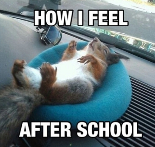 I no move - Meme by jere17 :) Memedroid