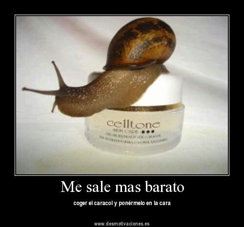 caracol - Meme subido por danycasadevall :) Memedroid