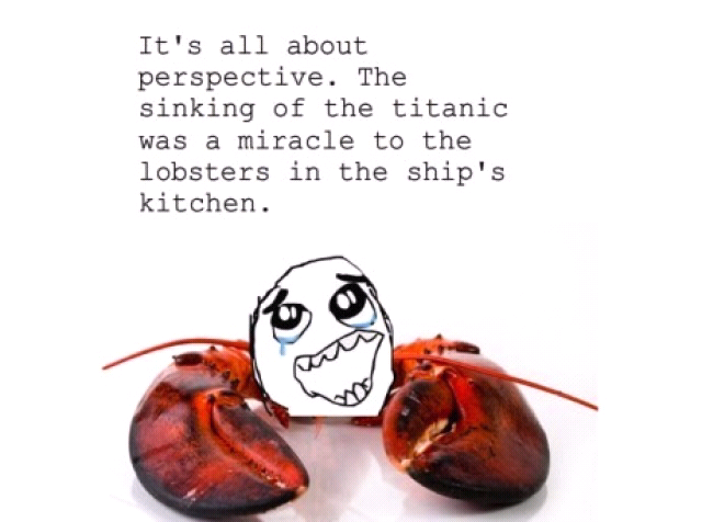 lobster is cute - Meme by orare97 :) Memedroid