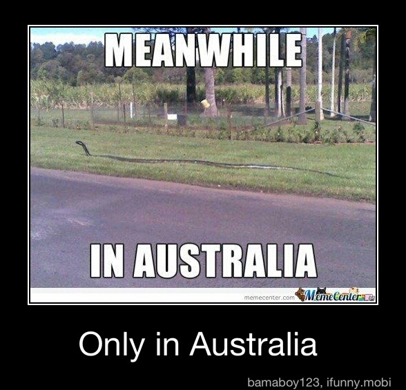 Only in australia - Meme by XxLokiLoverxX3 :) Memedroid