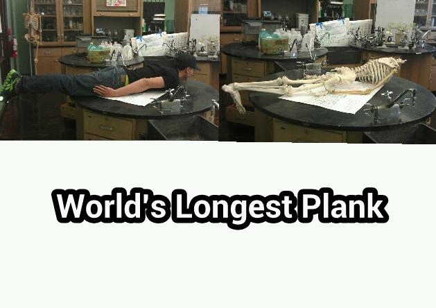 World's longest Plank - Meme subido por WweBreezybre :) Memedroid