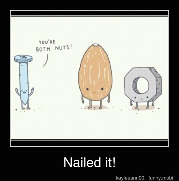 nailed it! - Meme by erika090909 :) Memedroid