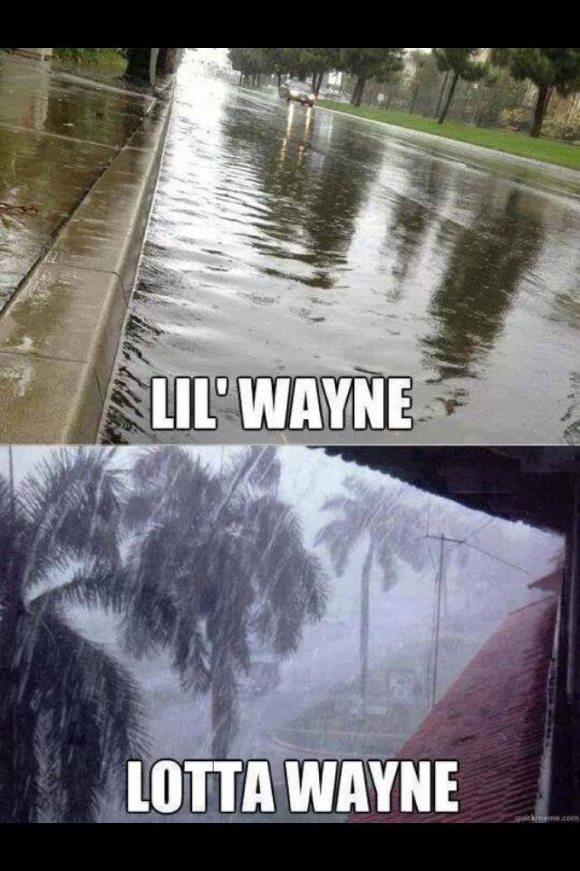 Hum - Meme by Gavparr :) Memedroid