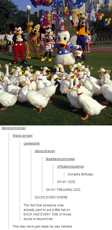 welp, i guess we have to accept our new duck overlords - Meme by ...
