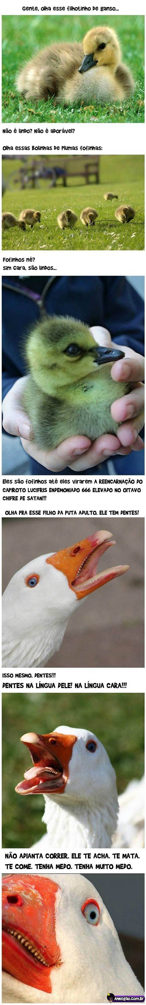 Ganso - Meme by bbrandao33 :) Memedroid