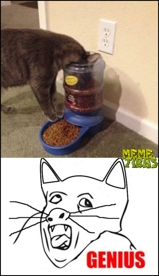 genius - Meme by anabier :) Memedroid