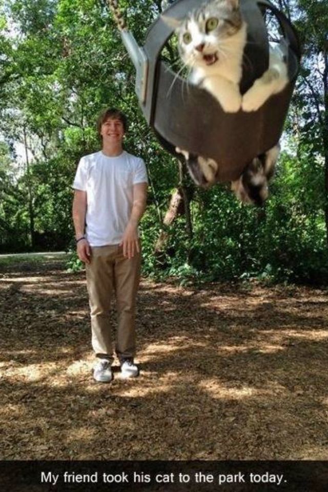 Meow - Meme by egoines :) Memedroid