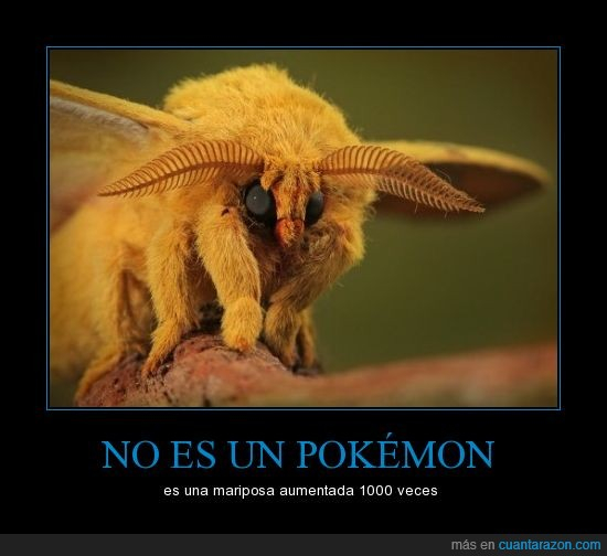 Mariposa - Meme subido por LázaroRodriguez :) Memedroid
